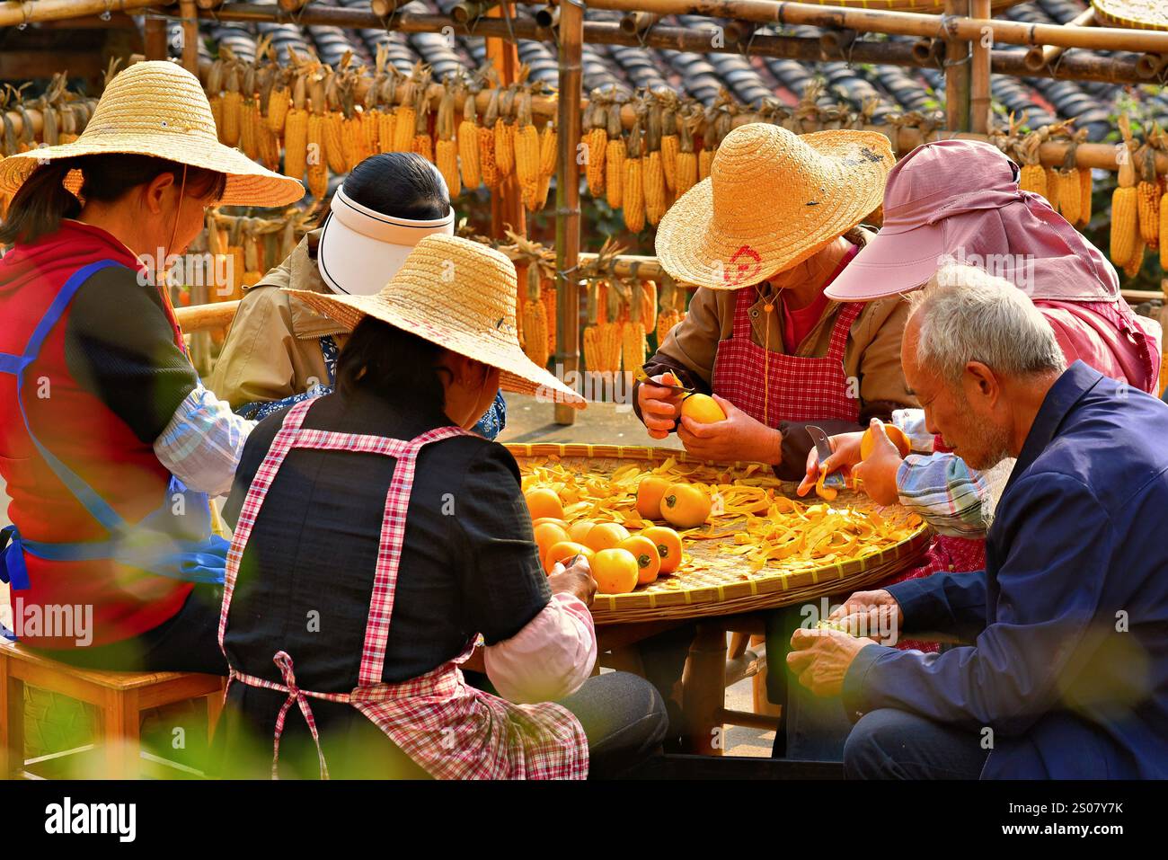 Villagers splicing persimmons to sun dry in Huangling, a 500 year old ...