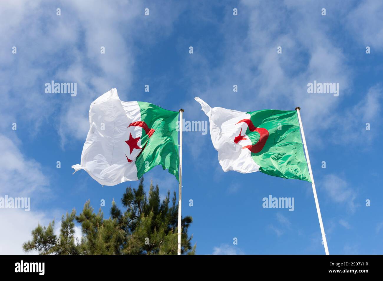 Algeria flag against a clear sky. Independence Day of Algeria Stock ...