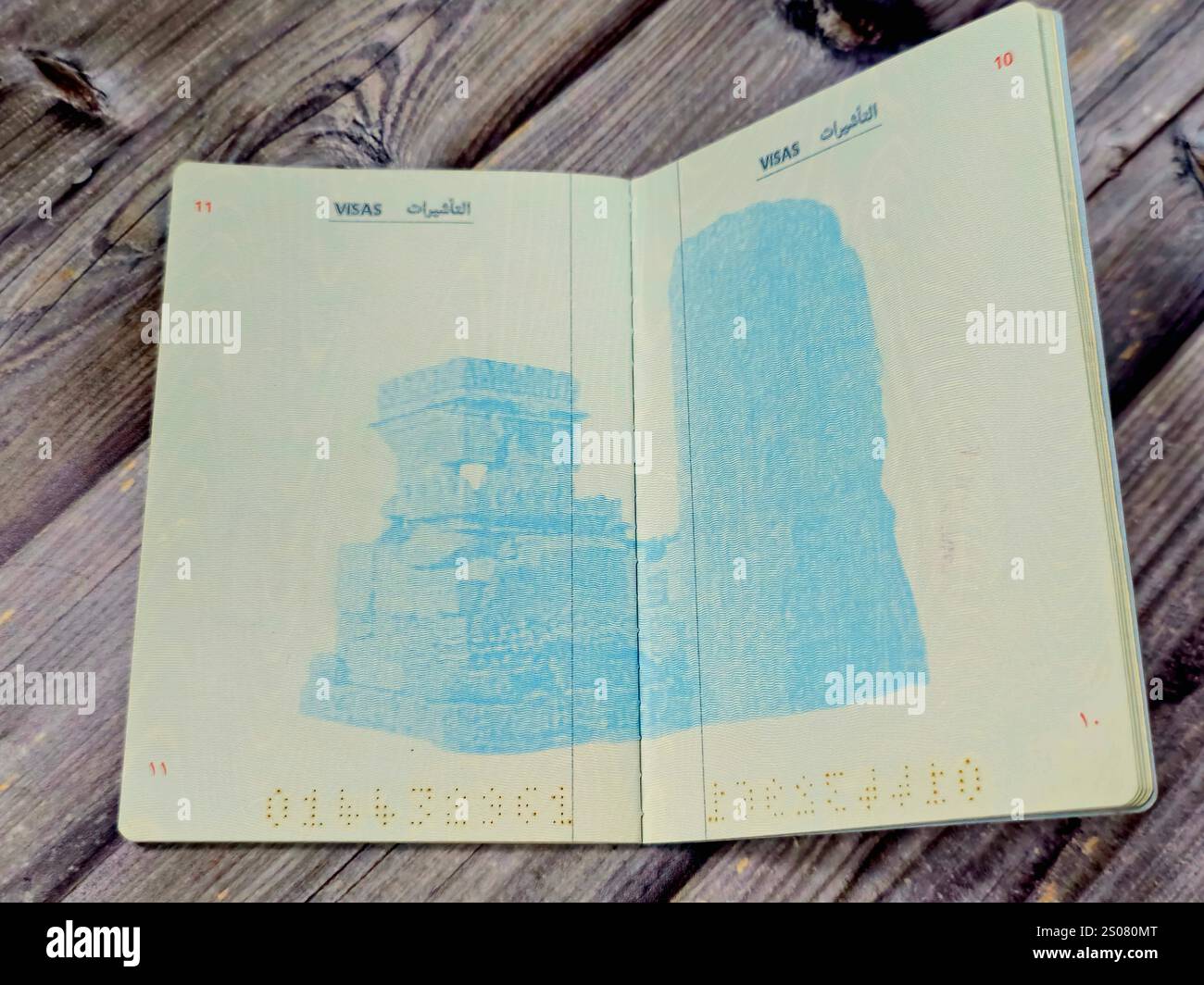 Cairo, Egypt, November 19 2024: The interior of Syrian Arab Republic ...