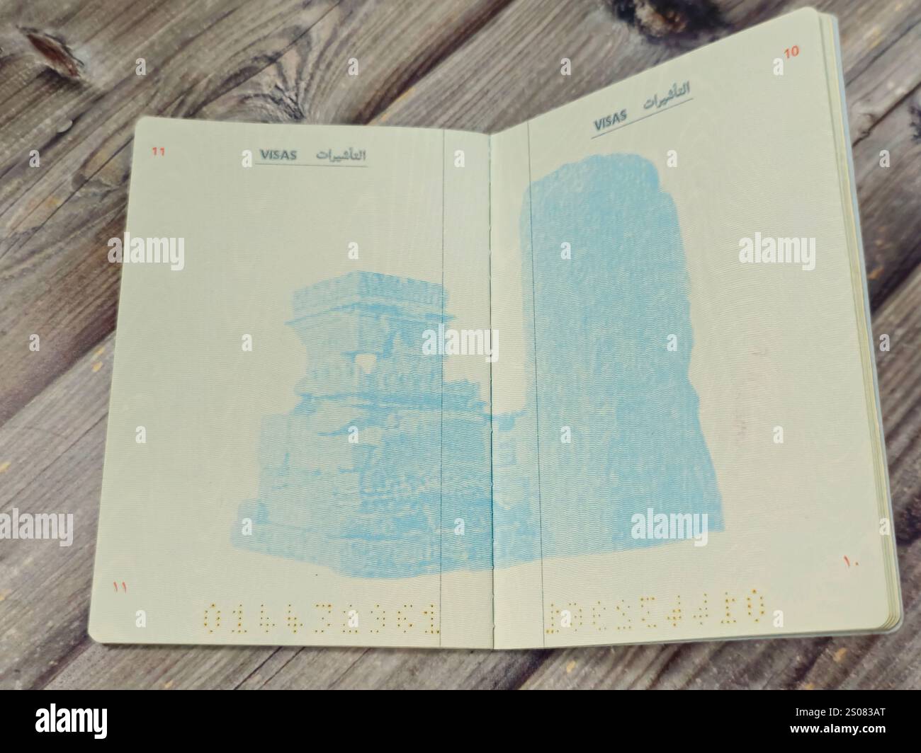 Cairo, Egypt, November 19 2024: The interior of Syrian Arab Republic ...