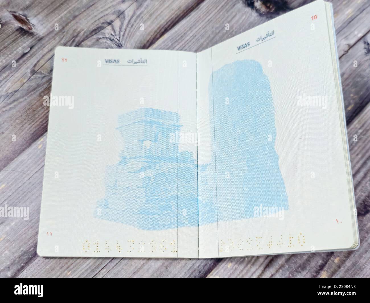 Cairo, Egypt, November 19 2024: The interior of Syrian Arab Republic ...