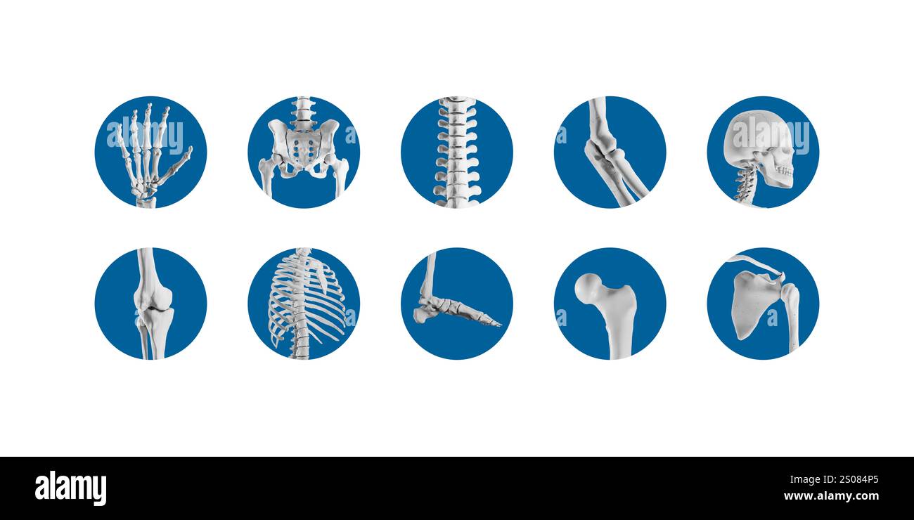 Poster. Contemporary art collage. Set of skeletal parts, including hand ...