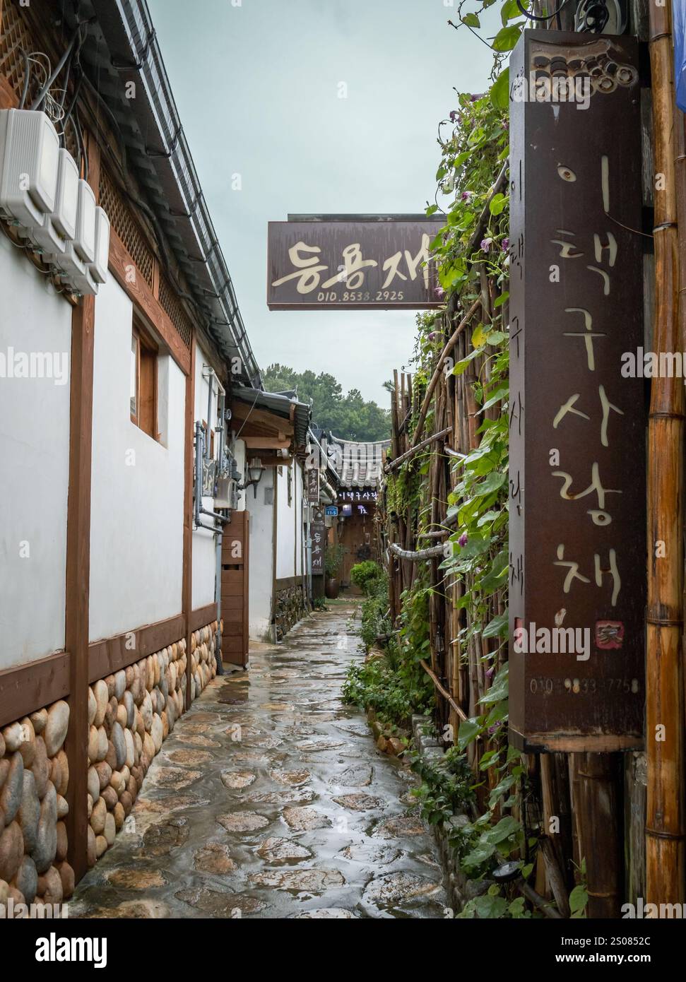 Jeonju Hanok village pedestrian walking street lined with shops and ...