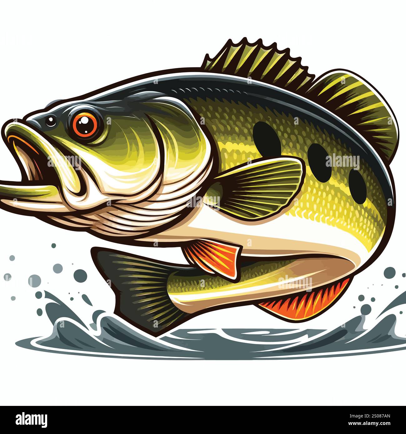 Bass Fish Vector Illustration Stock Vector Image & Art - Alamy