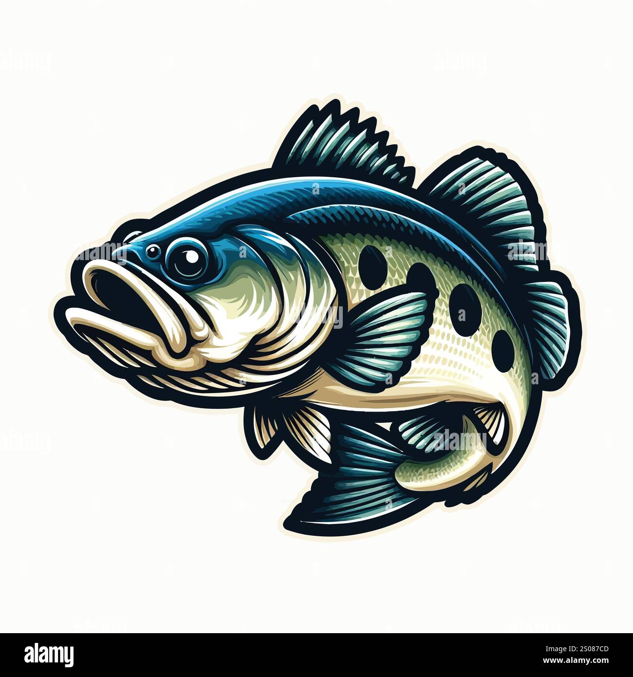 Bass Fish Vector Illustration Stock Vector Image & Art - Alamy