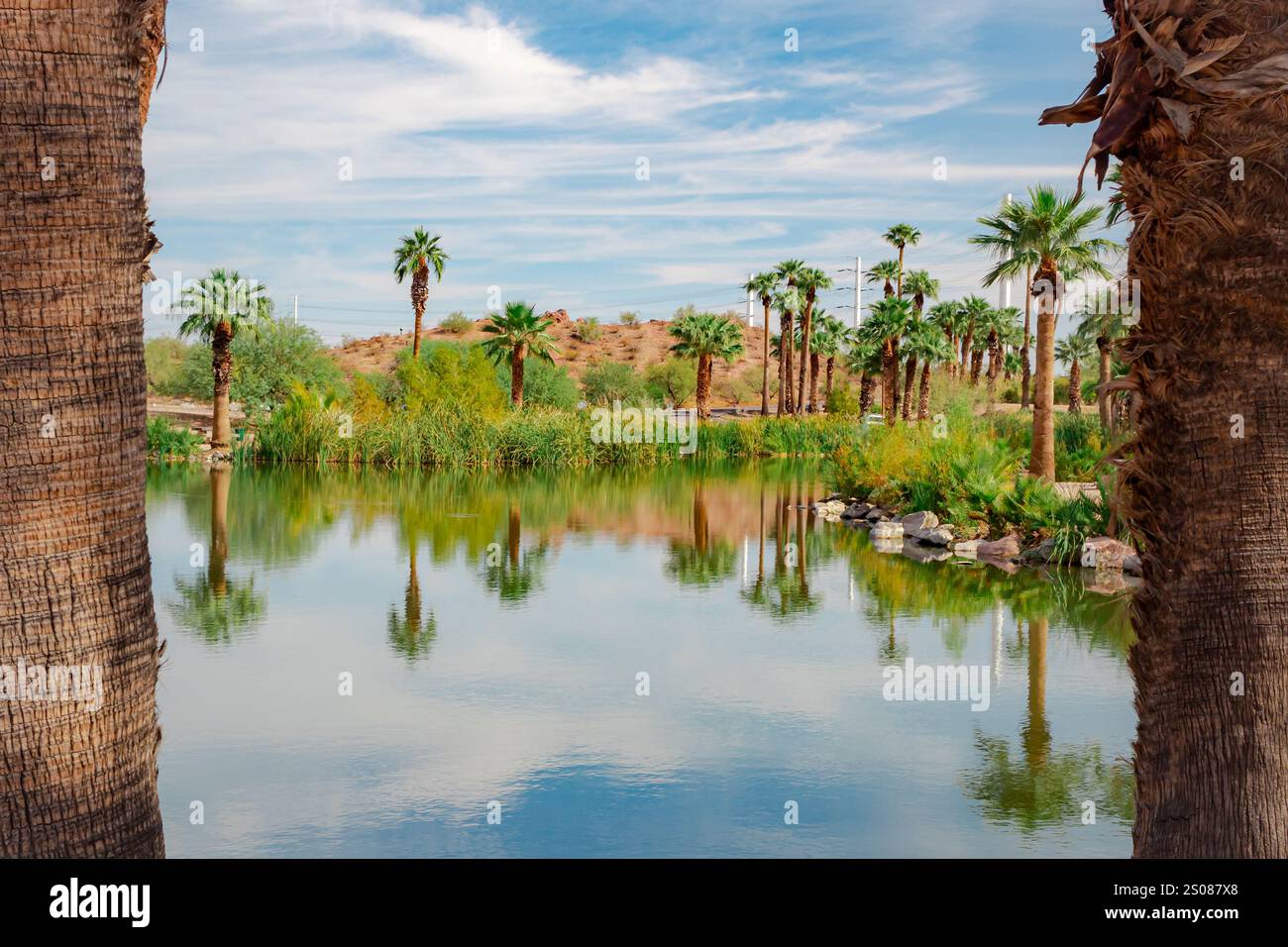 Palm trees water reflection oasis and mountains in the desert at Papago ...