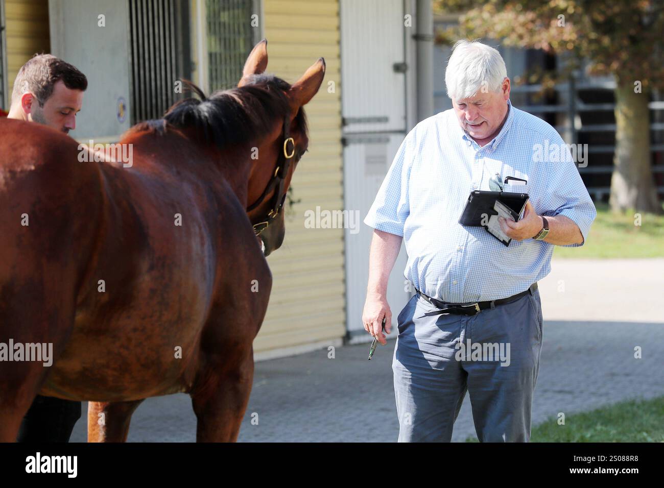 29.08.2024, Iffezheim, Baden-Wuerttemberg, GER - Vollblutagent Joe ...
