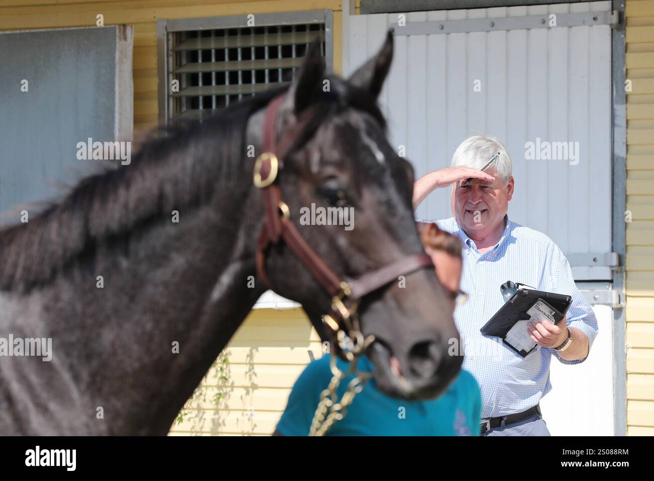 29.08.2024, Iffezheim, Baden-Wuerttemberg, GER - Vollblutagent Joe ...