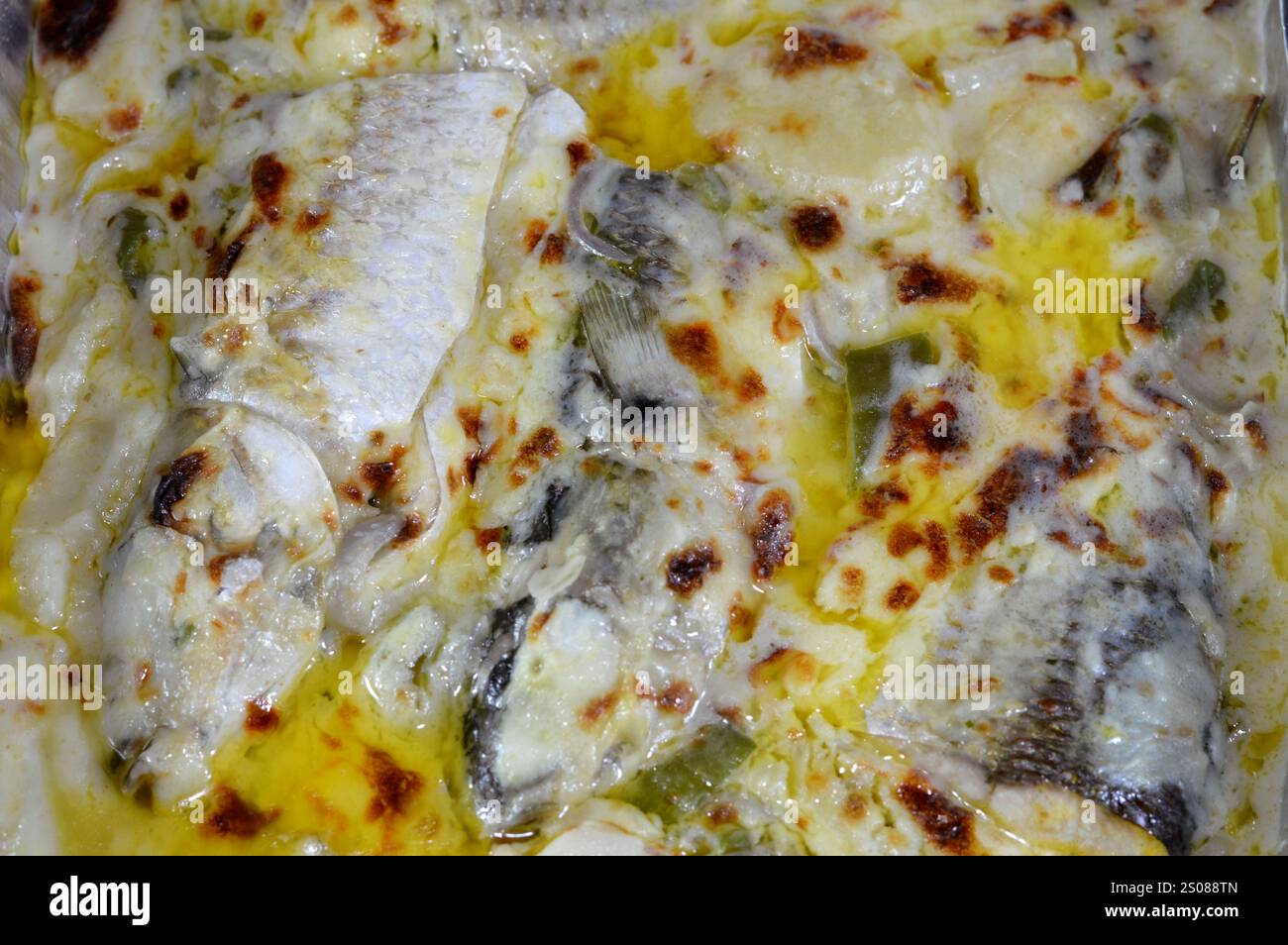 Baked mullet fishes with creamy white sauce, pieces and slices of ...