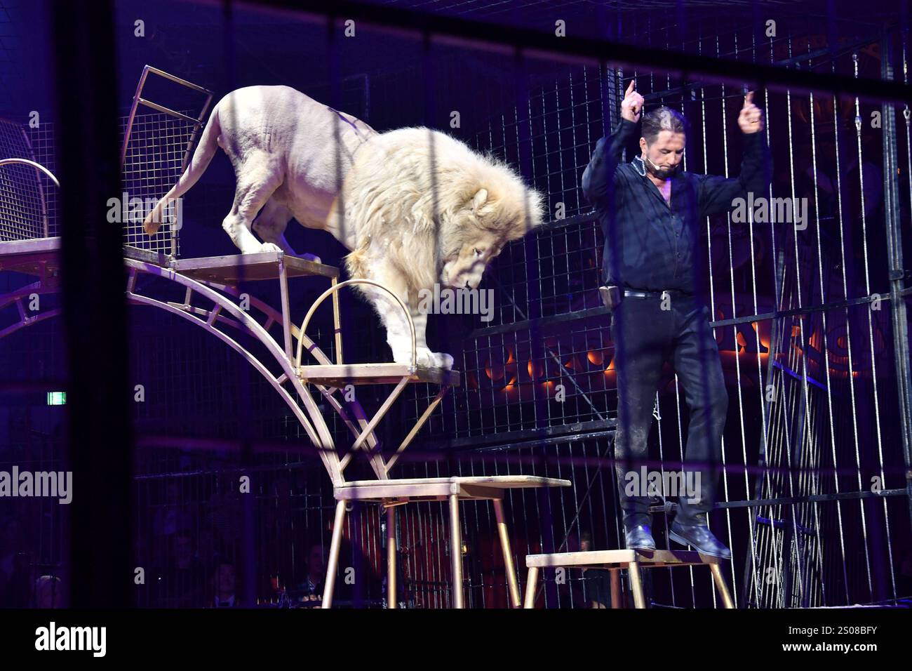 Martin Lacey jr. / Circus Krone / 1. Winterprogramm / Freestyle / Manege / KroneBau / München ...