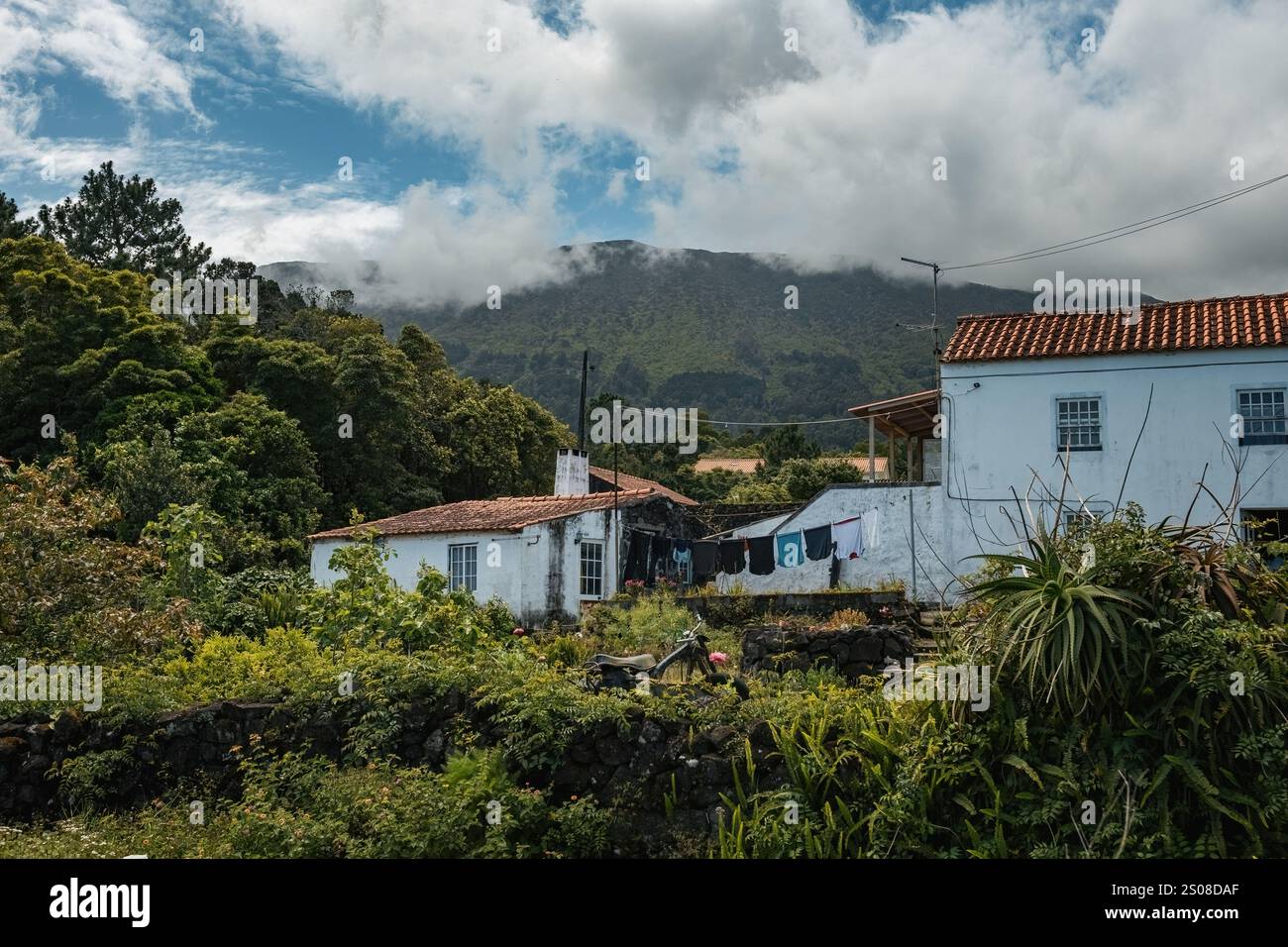 Traditional tile roof houses at Pico island Azores Portugal Stock Photo ...