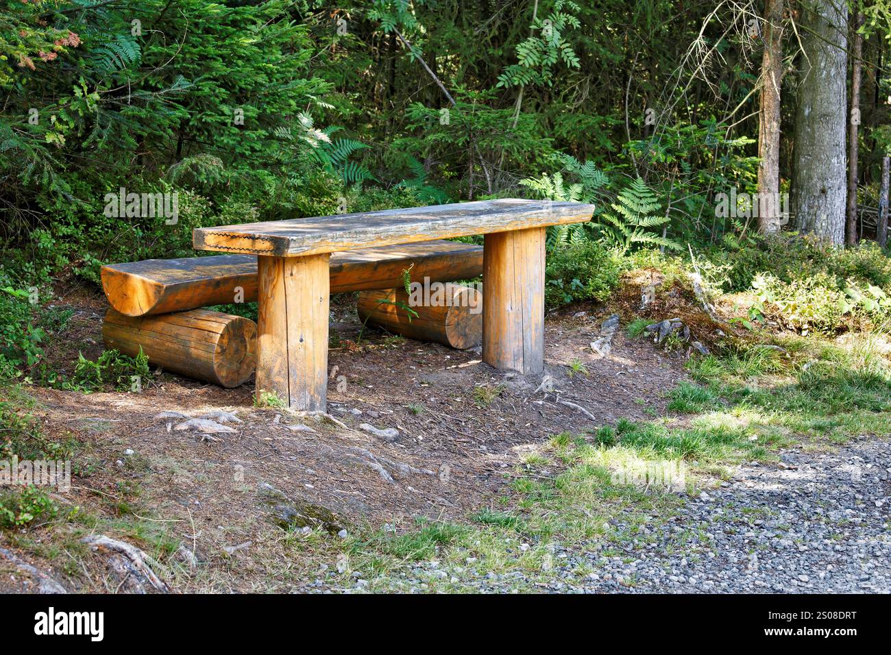 Rest area in the forest for hikers Stock Photo - Alamy