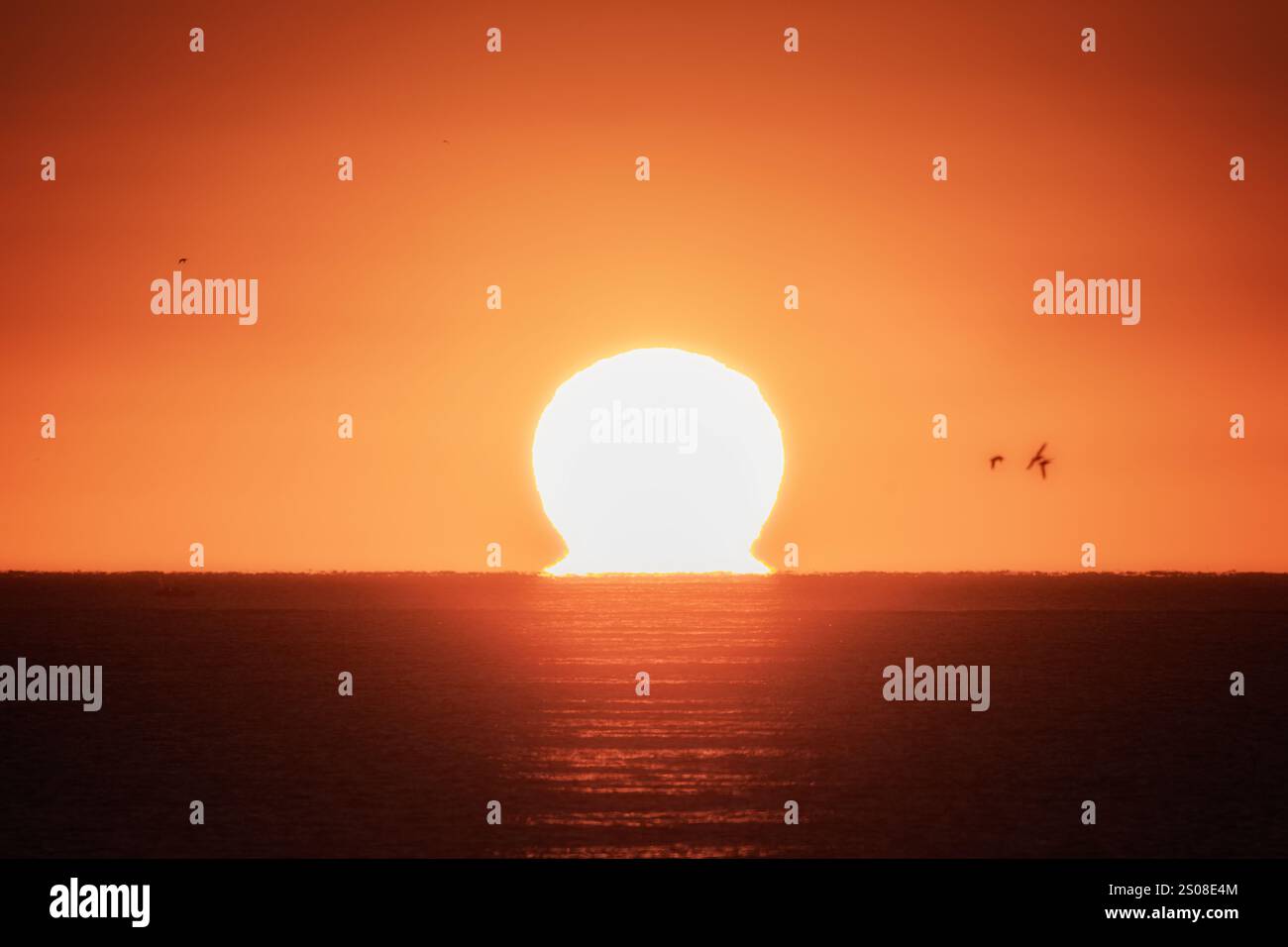 Sunrise Over the Sea with Bird Silhouettes in Omega Shape.A ...