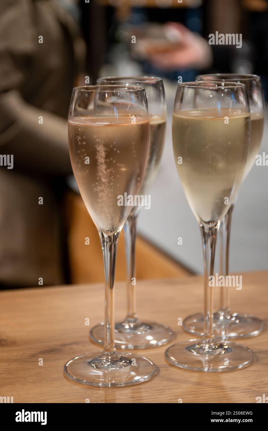 Tasting of sparkling white wine, traditional champagne method making of ...