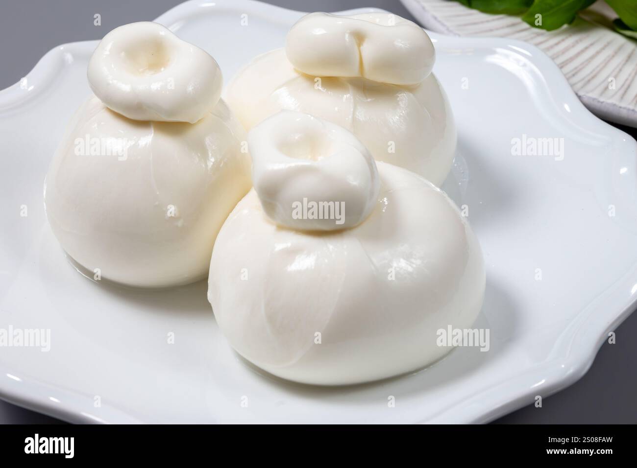 Eating of fresh handmade soft Italian cheese, white balls of burrata or ...