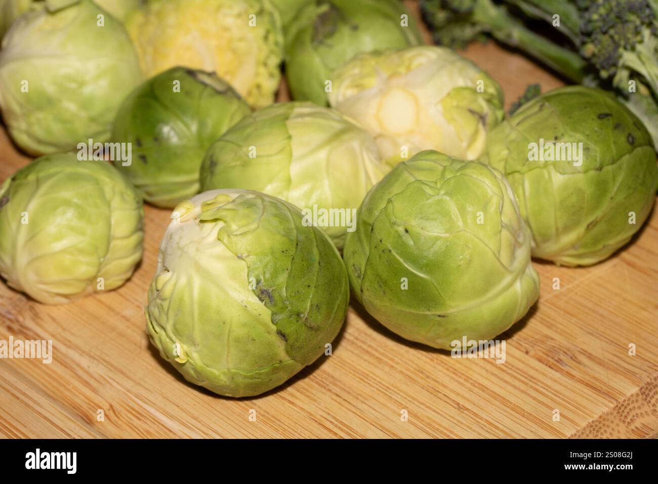 Close Up of Brussels Sprout Vegetable Cabbage Stock Photo - Alamy