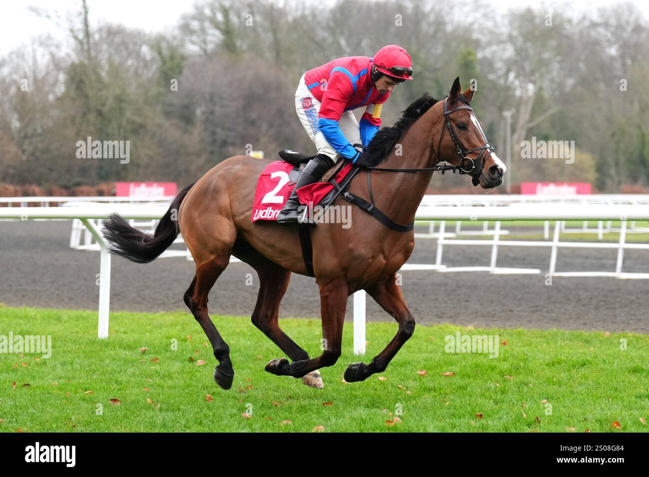 Asta la pasta hi-res stock photography and images - Alamy