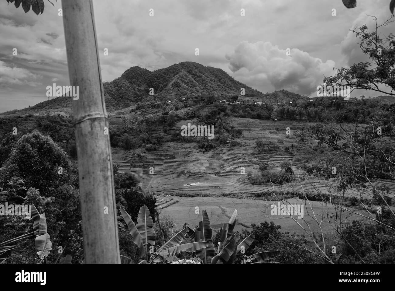 Landscape Scenery with Terraced Rice Fields near Redjang in Flores ...