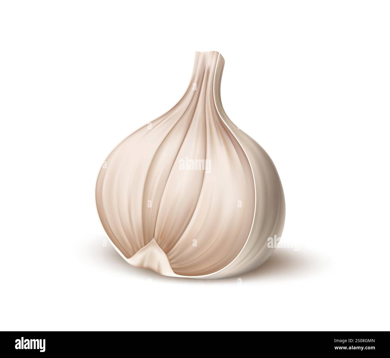 Realistic isolated garlic half. 3d vector halved raw garlic seasoning ...