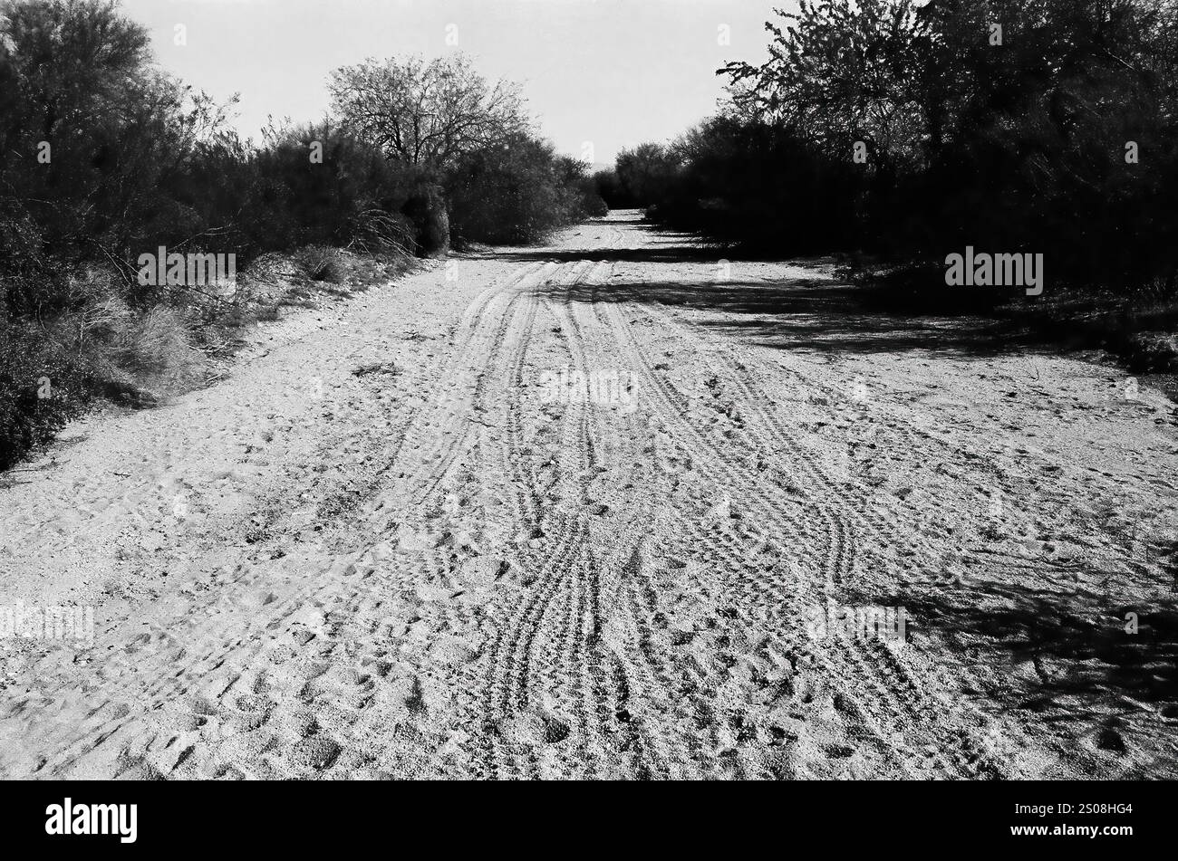Film image of Arizona arroyo dry stream bed that provides a temporary ...