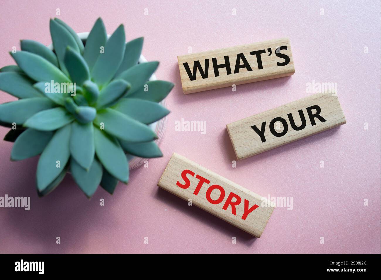 What is your story symbol. Concept words What is your story on wooden blocks. Beautiful pink ...