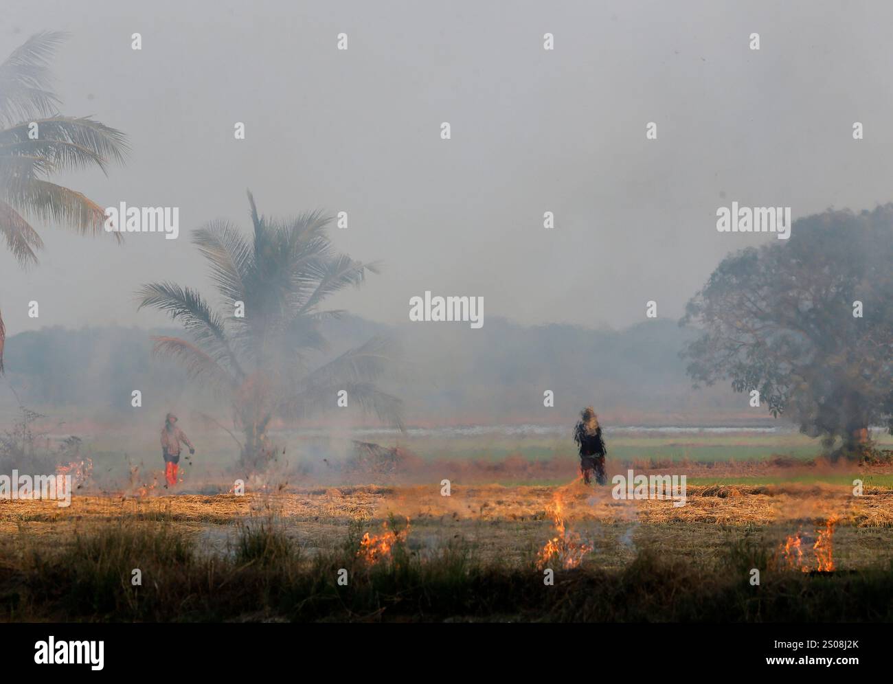 Farmers work near a burning paddy field in Nakhon Sawan province north ...