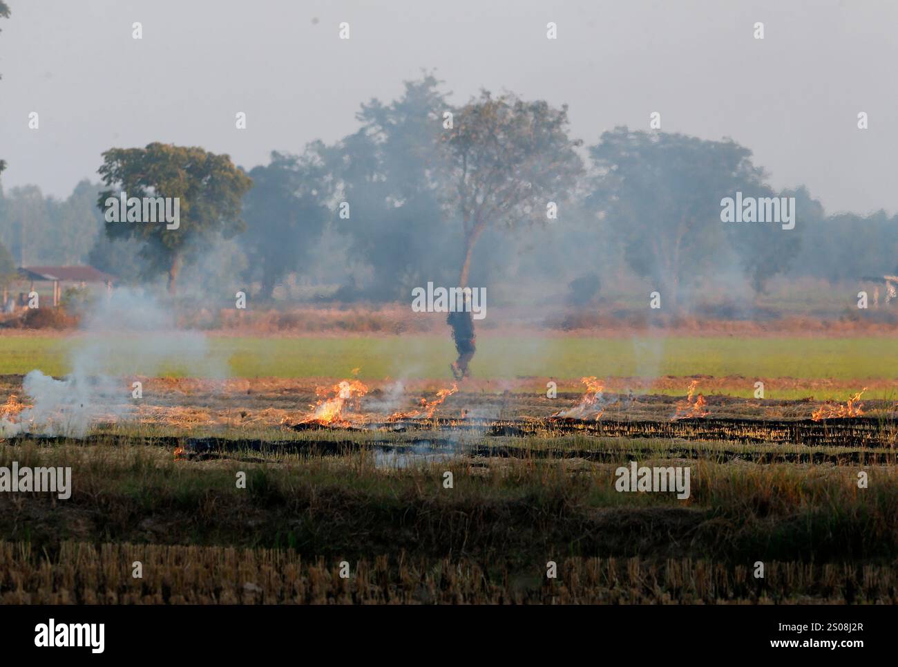 A farmer works near a burning paddy field in Nakhon Sawan province ...