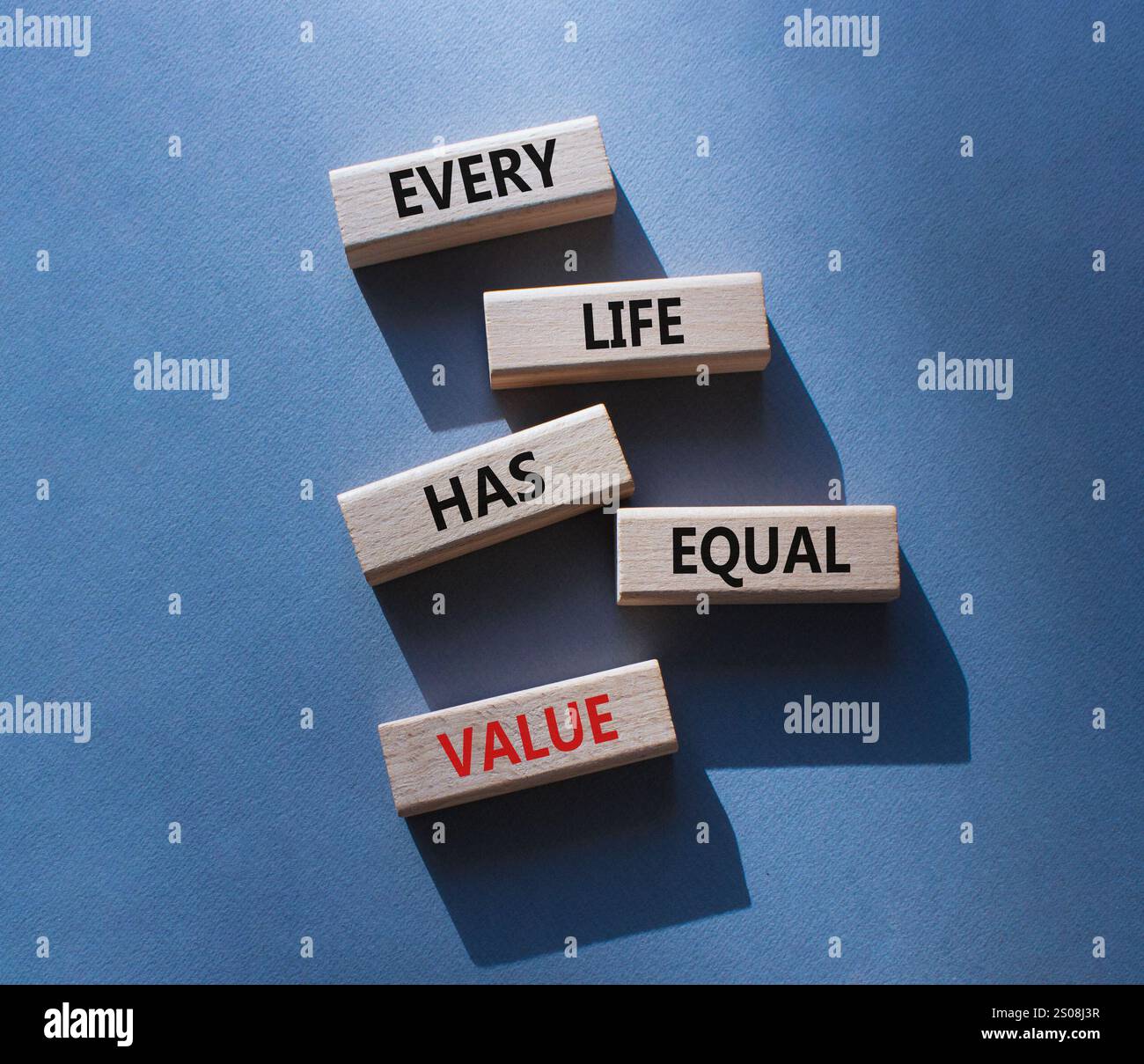 Equality symbol. Wooden blocks with words Every Life has Equal Value ...