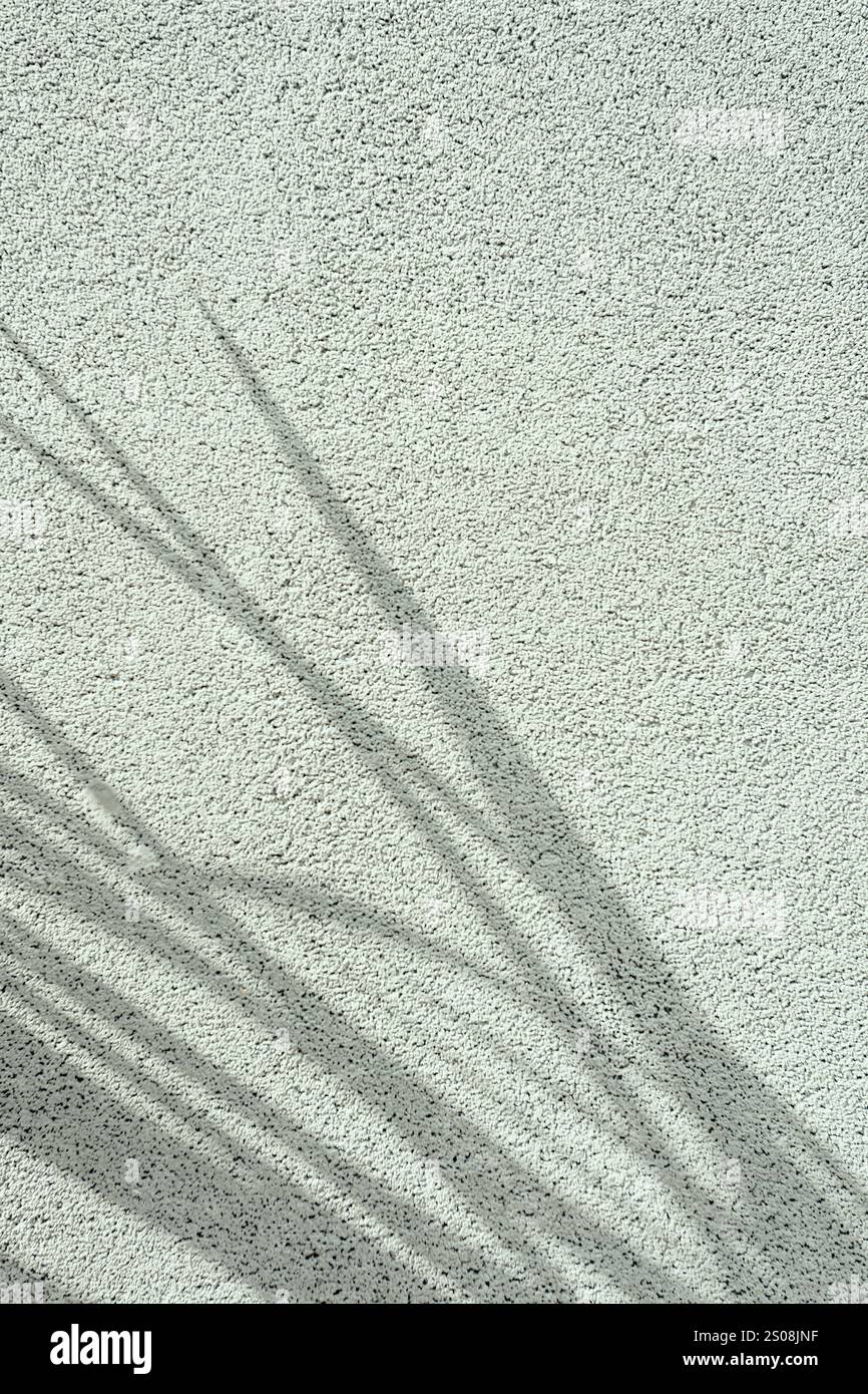 Abstract plant shade on a soft and subtle background Stock Photo - Alamy