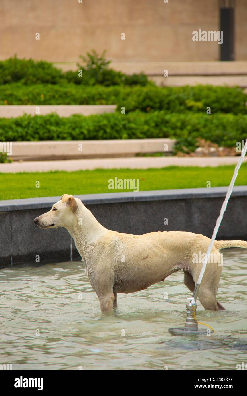 Luna Bathing Swimming Pool Stock Photo - Alamy
