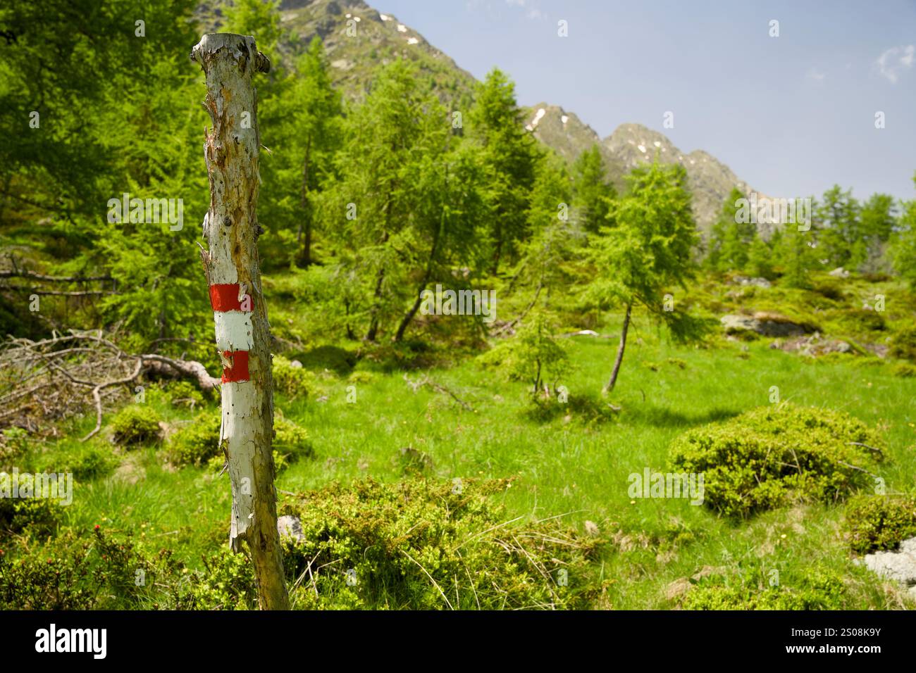 red white route marking on a hiking trail for navigation on a mountain ...