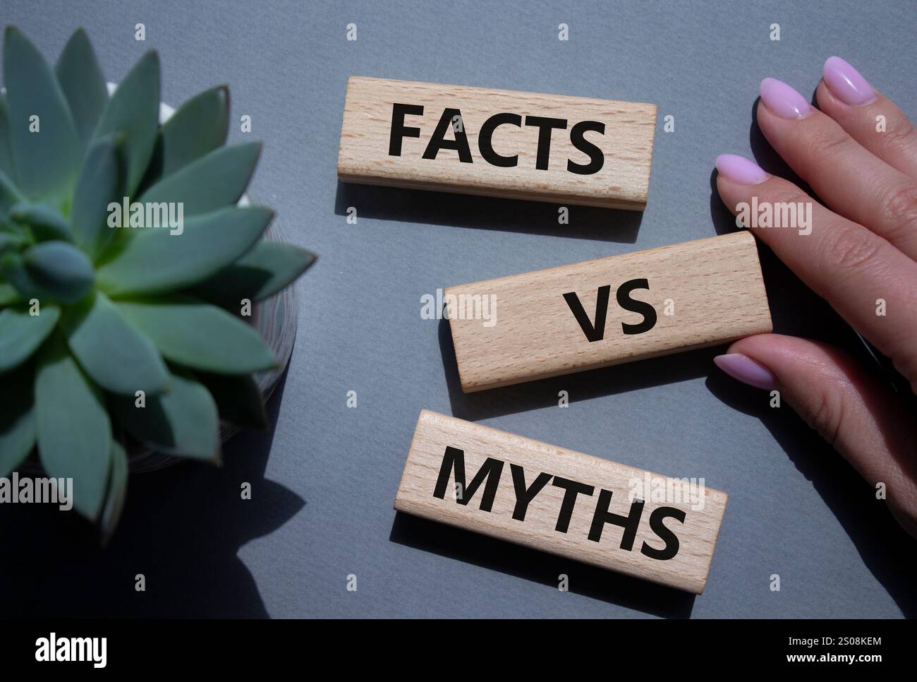 Facts vs Myths symbol. Wooden blocks with words Facts vs Myths ...