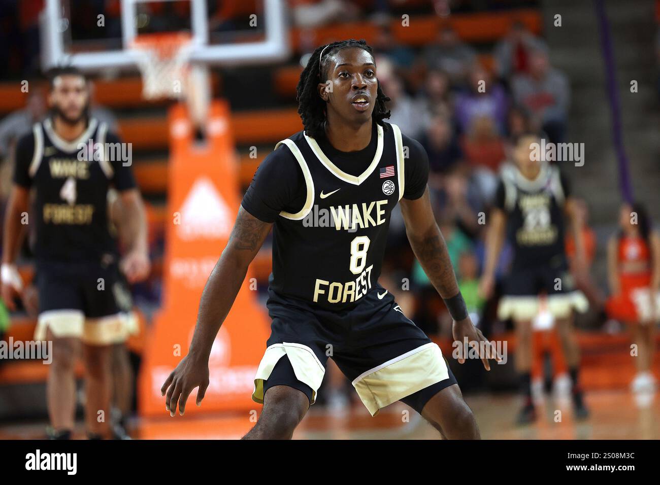CLEMSON, SC - DECEMBER 21: Wake Forest Demon Deacons guard Ty-Laur ...