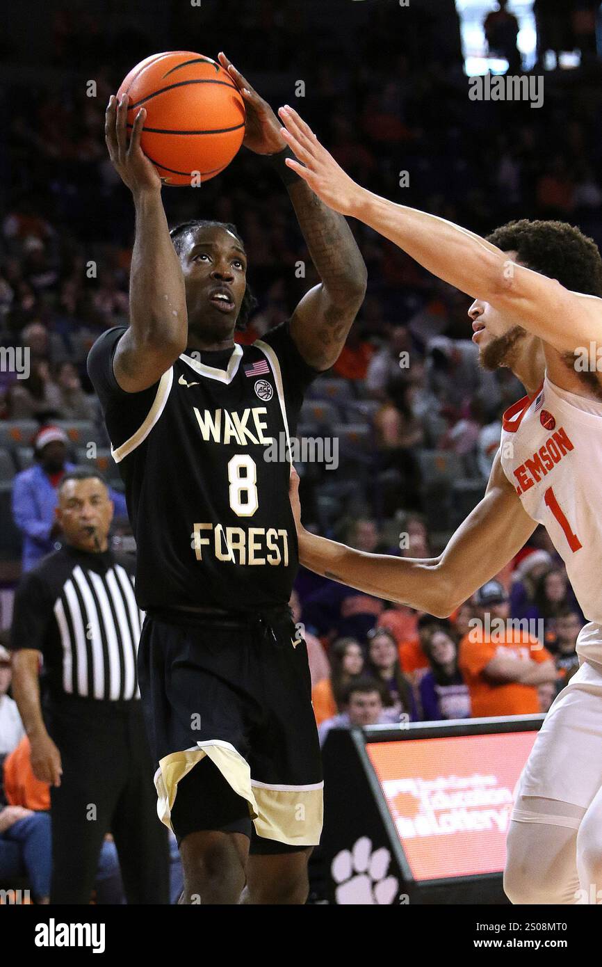 CLEMSON, SC - DECEMBER 21: Wake Forest Demon Deacons guard Ty-Laur Johnson (8) during a college ...