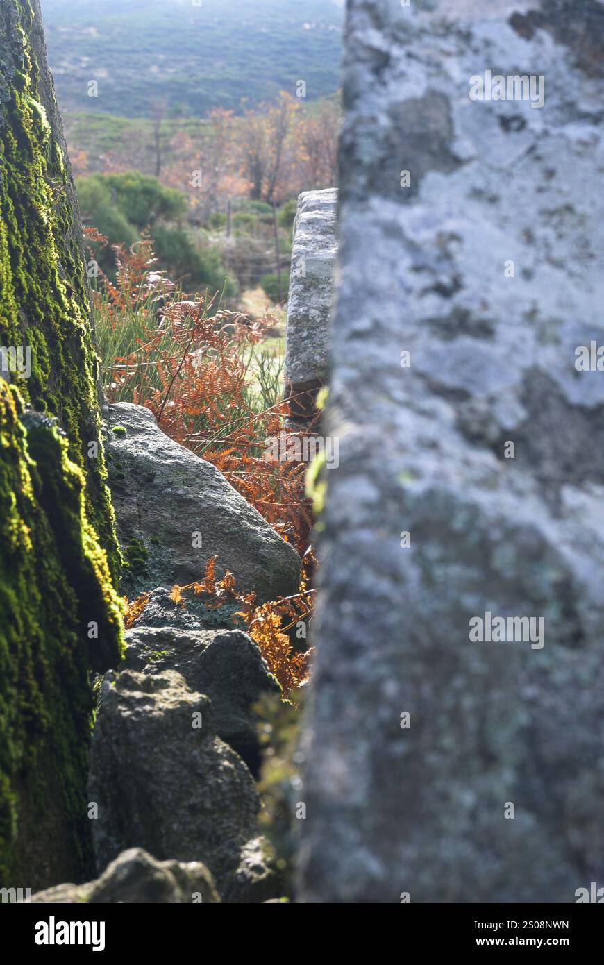 Opening in the rocks to complete the green landscape with vertical ...