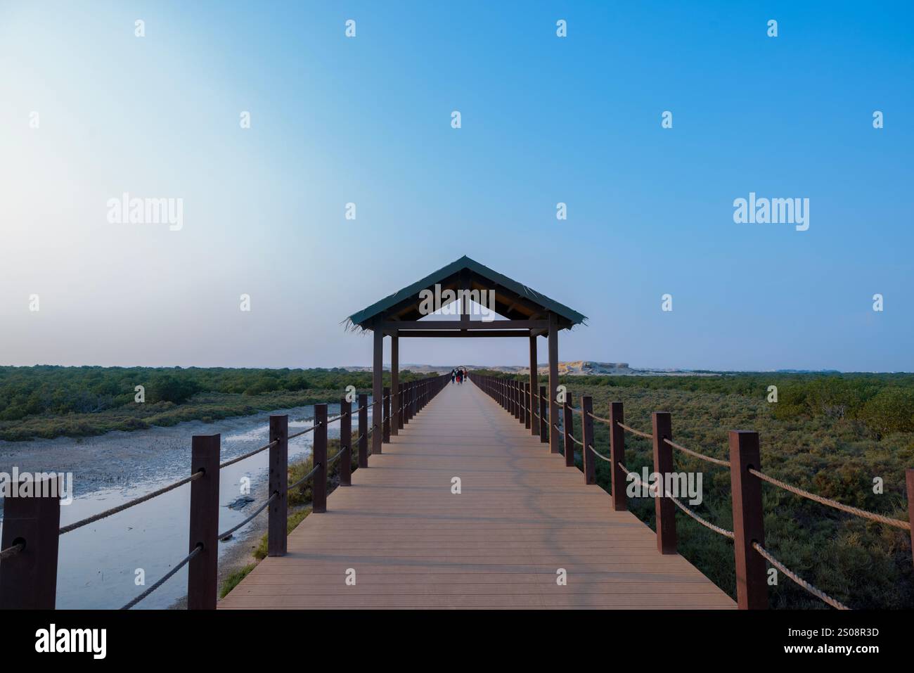 Al Khor Island,also known as Jazirat bin Ghanim or Puple island Doha ...