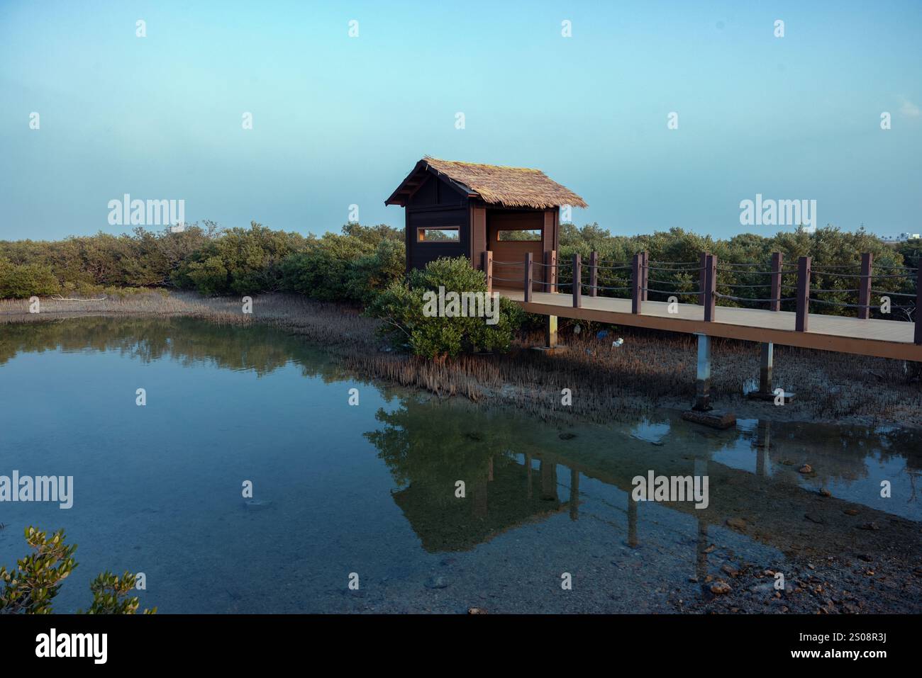 Al Khor Island,also known as Jazirat bin Ghanim or Puple island Doha ...