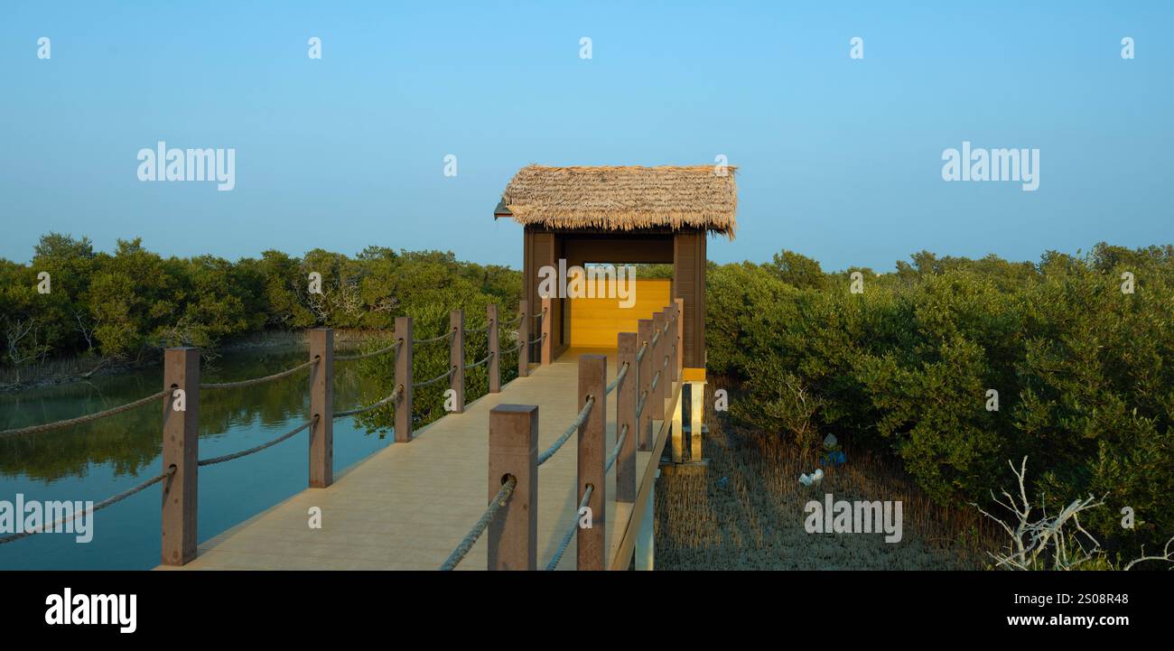 Al Khor Island,also known as Jazirat bin Ghanim or Puple island Doha ...