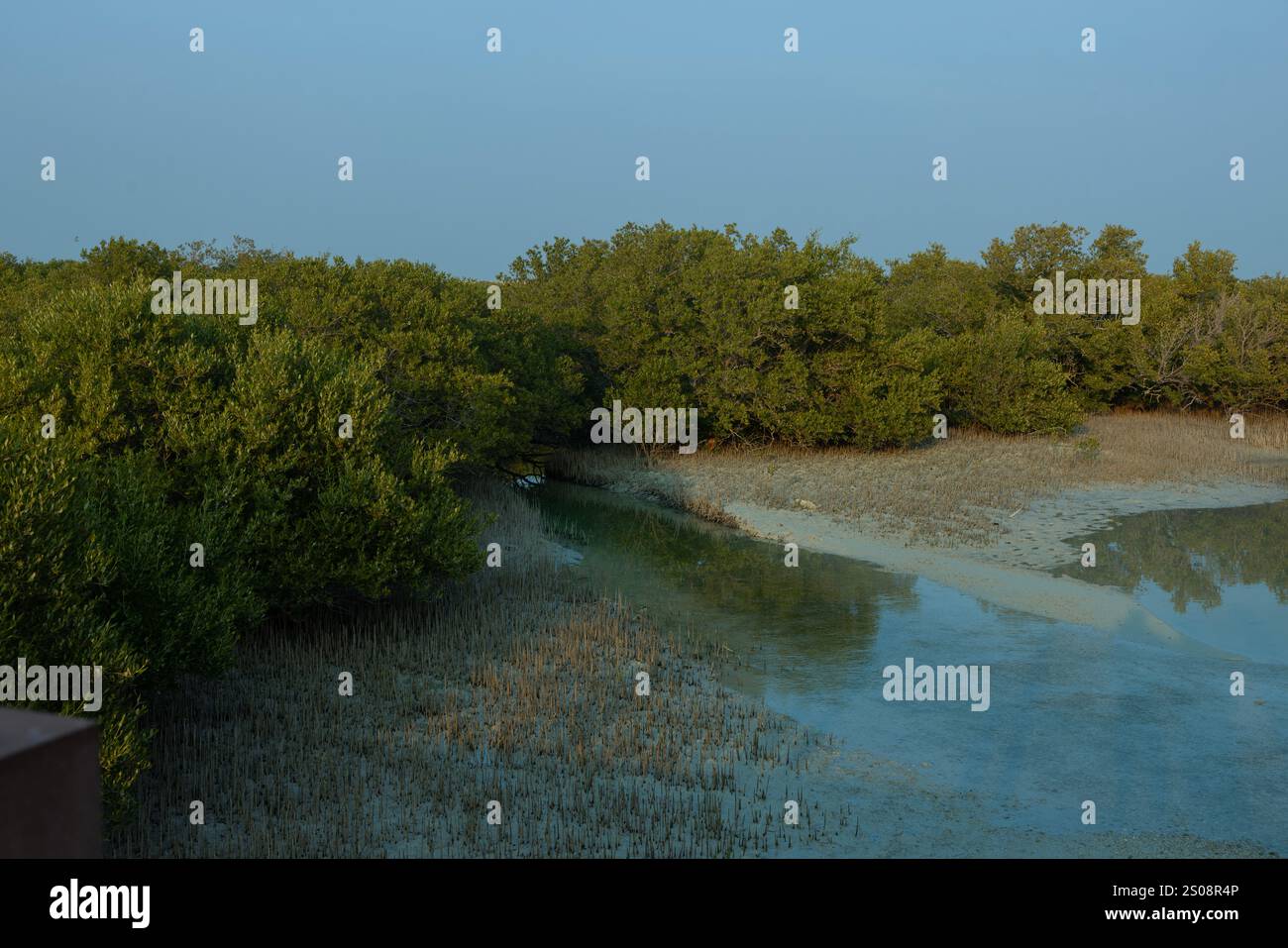 Al Khor Island,also known as Jazirat bin Ghanim or Puple island Doha ...