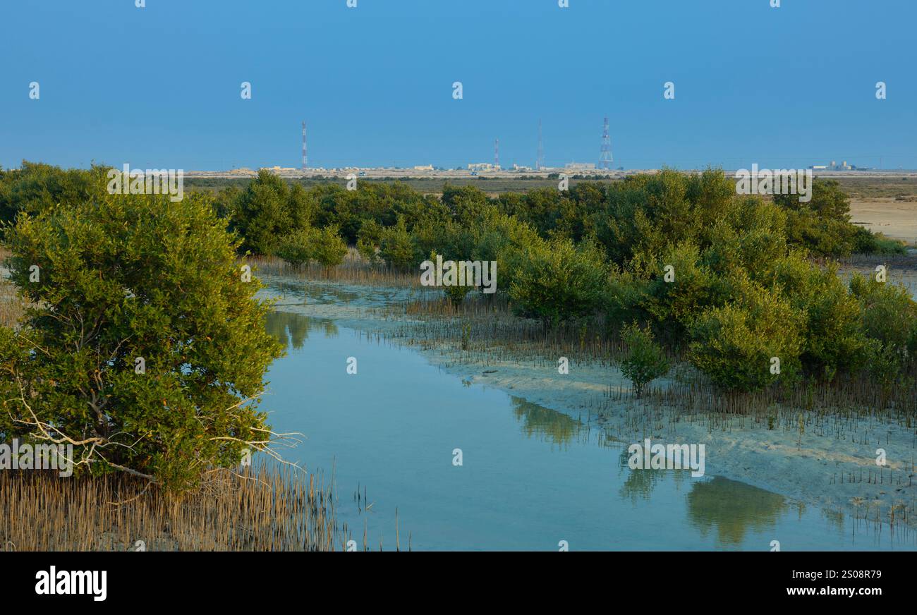 Al Khor Island,also known as Jazirat bin Ghanim or Puple island Doha ...