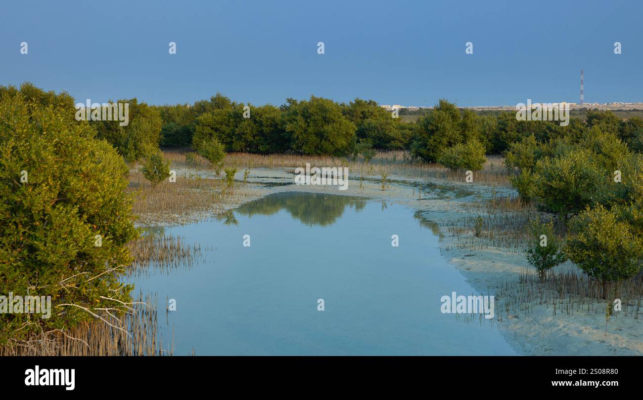 Al Khor Island,also known as Jazirat bin Ghanim or Puple island Doha ...