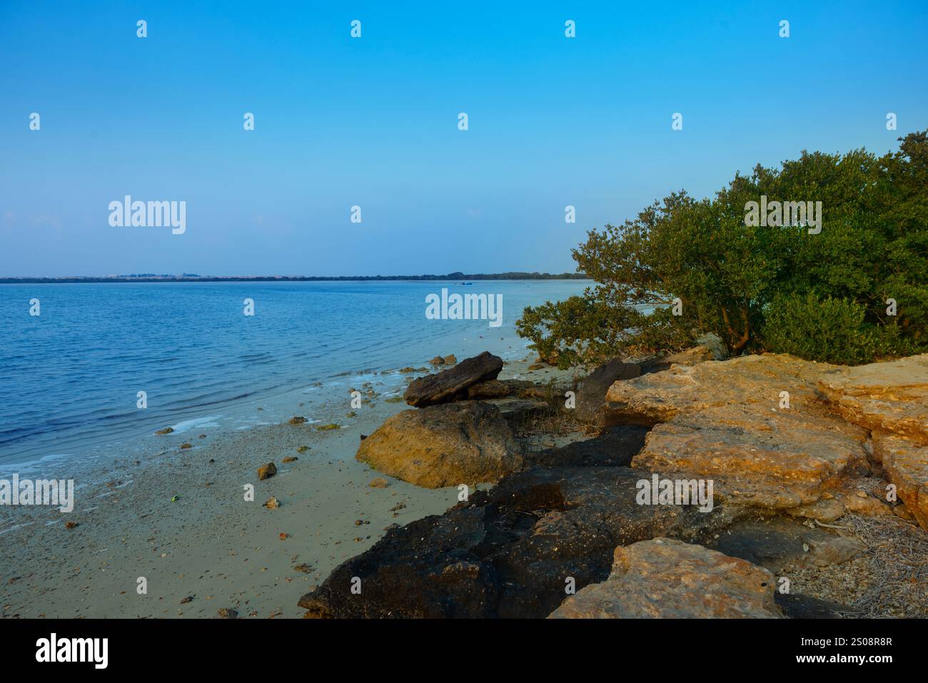Al Khor Island,also known as Jazirat bin Ghanim or Puple island Doha ...