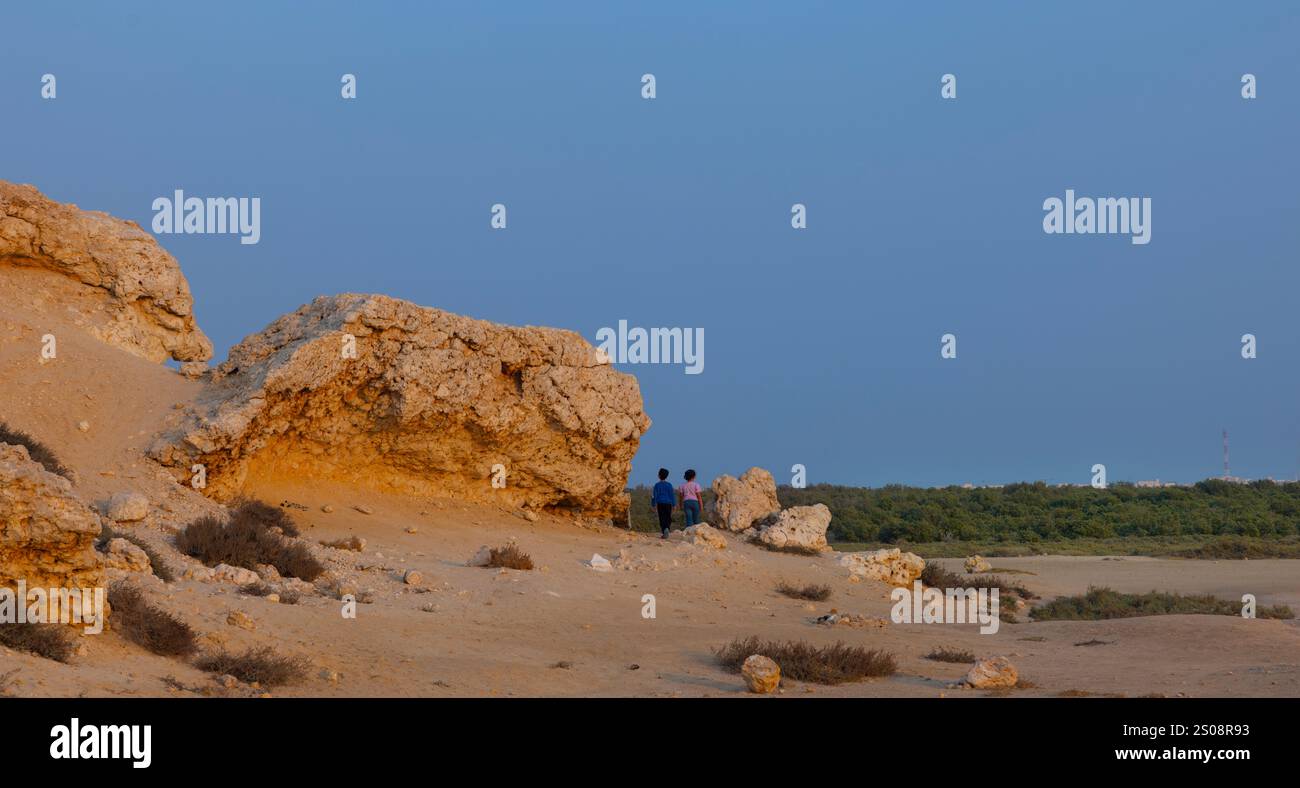 Al Khor Island,also known as Jazirat bin Ghanim or Puple island Doha ...
