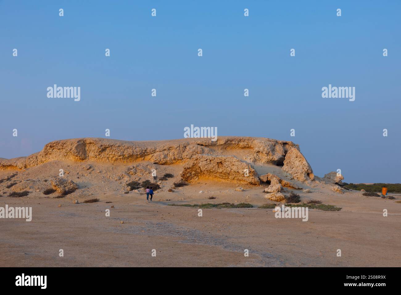 Al Khor Island,also known as Jazirat bin Ghanim or Puple island Doha ...