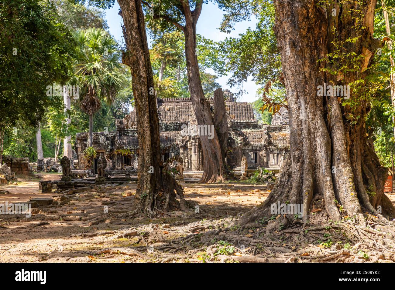 Ancient hindu Banteay Kdei khmer ruined temple hidden in jungles ...