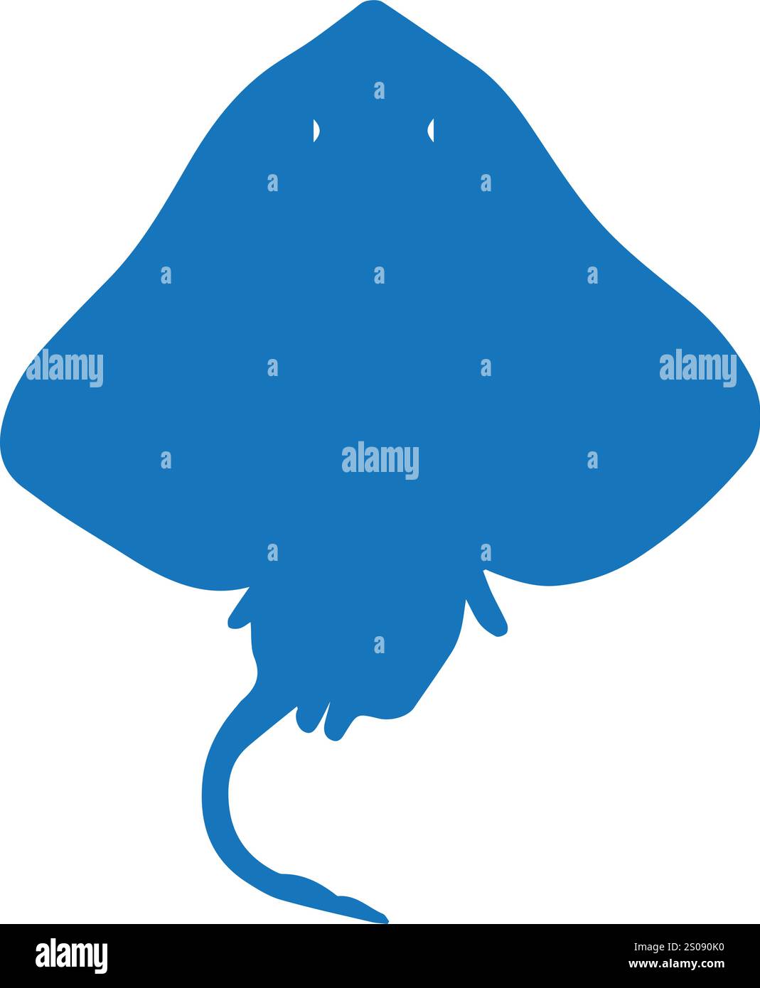 vector colorful fish stingray drawings Stock Vector Image & Art - Alamy