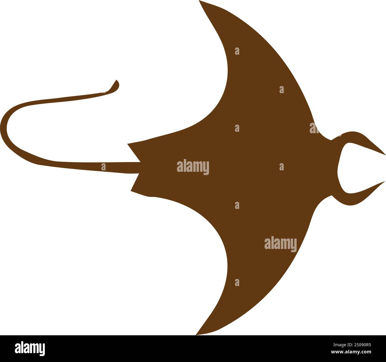 vector colorful fish stingray drawings Stock Vector Image & Art - Alamy