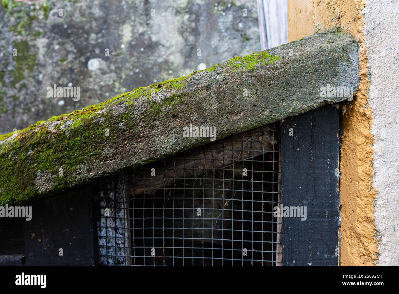 Detail of the corner of a wire mesh enclosure and the wall. The wall ...