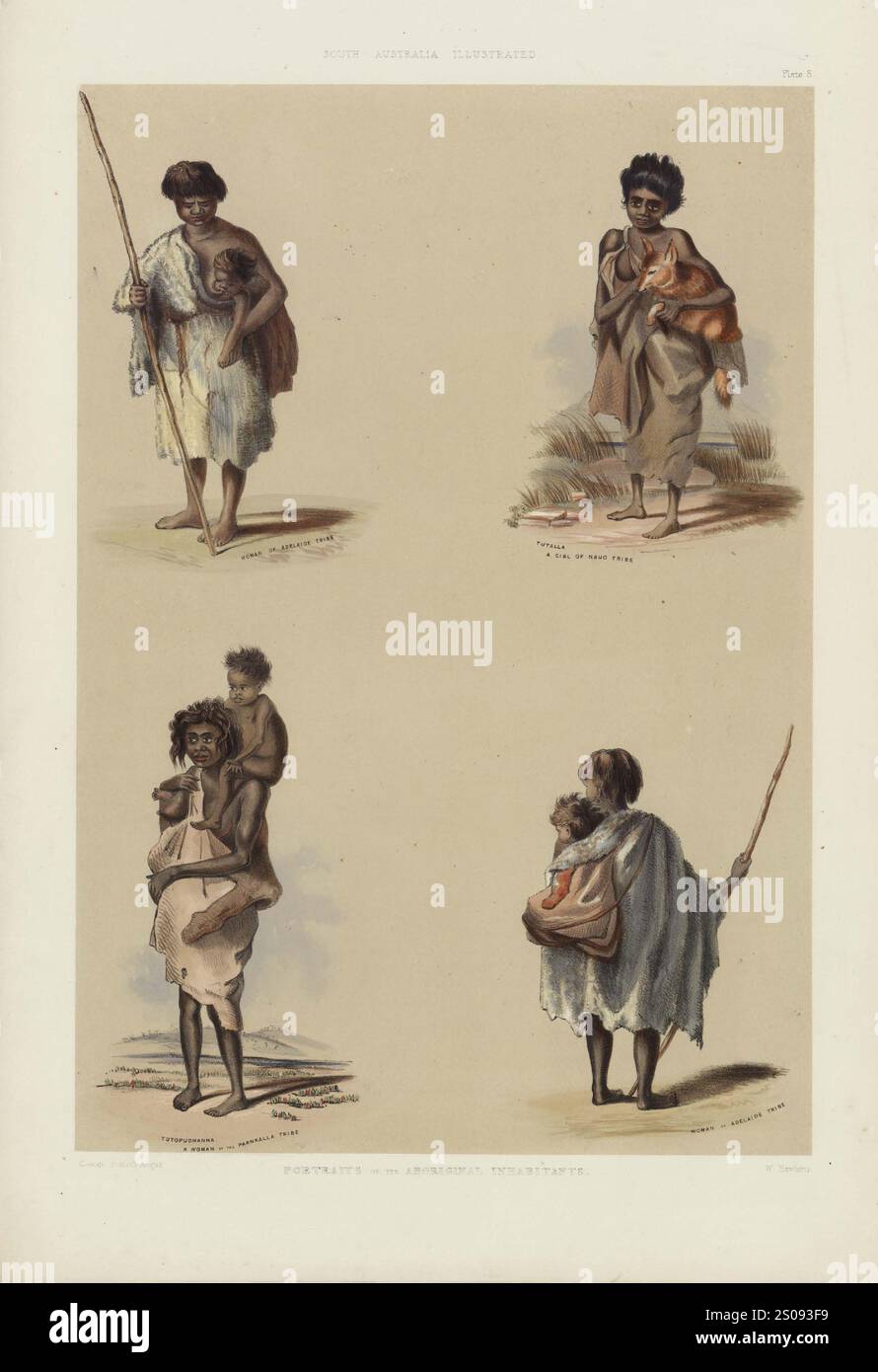 Portraits of Aboriginal Inhabitants. Vintage Illustration from South ...
