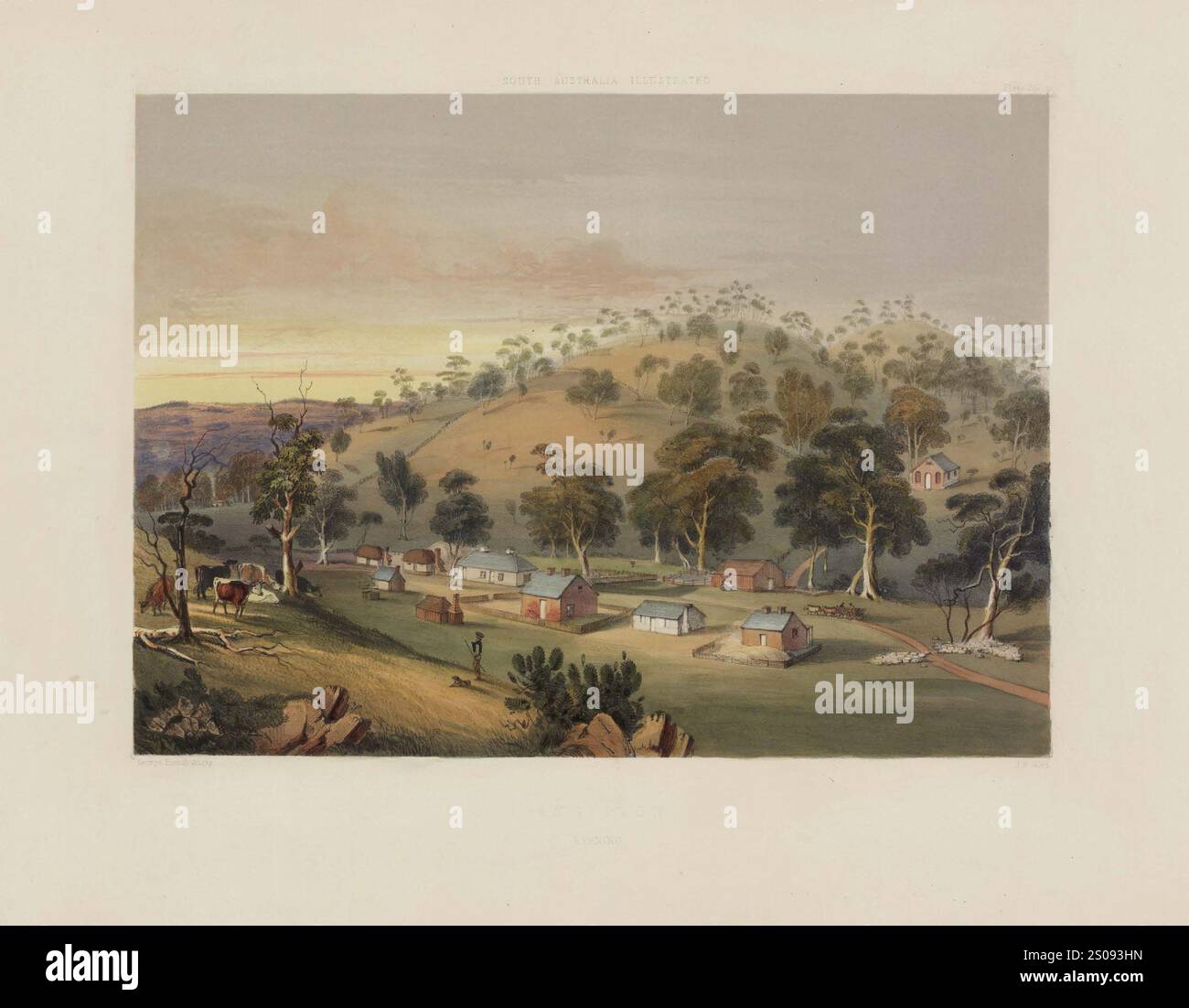 Rural Australian Settlement. Vintage Illustration from South Australia ...